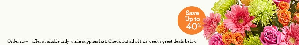 Flower Deals of the Week | Flower Specials & Deals | 1800Flowers