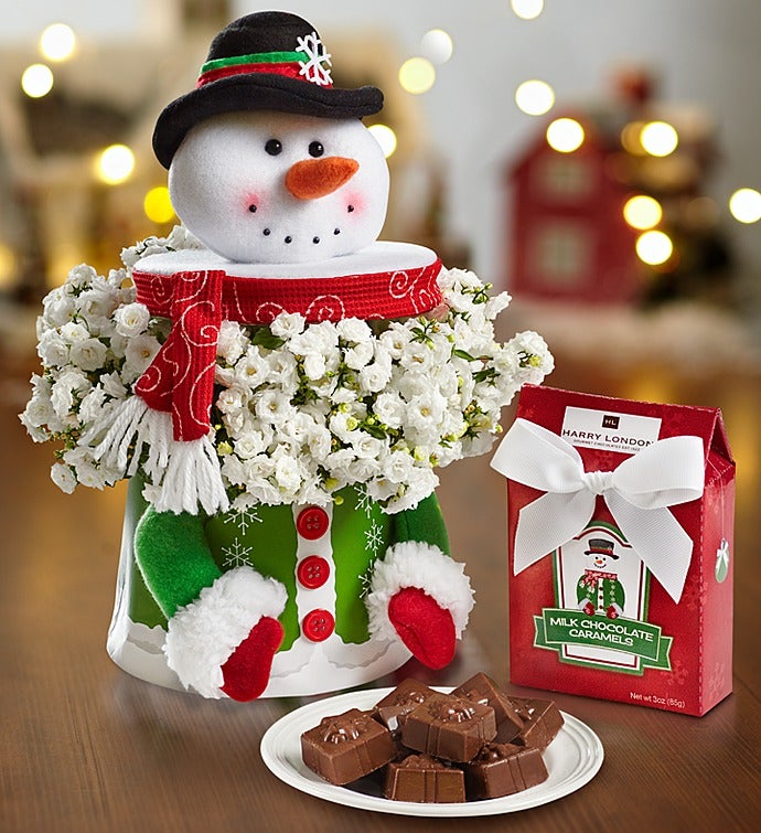 Snowman Plant