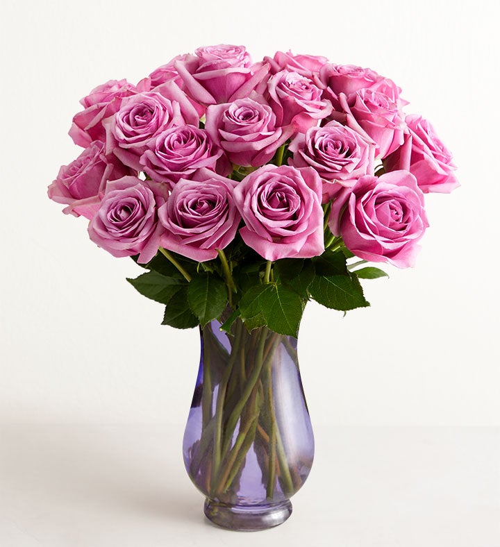 The History and Symbolism of Roses | Petal Talk