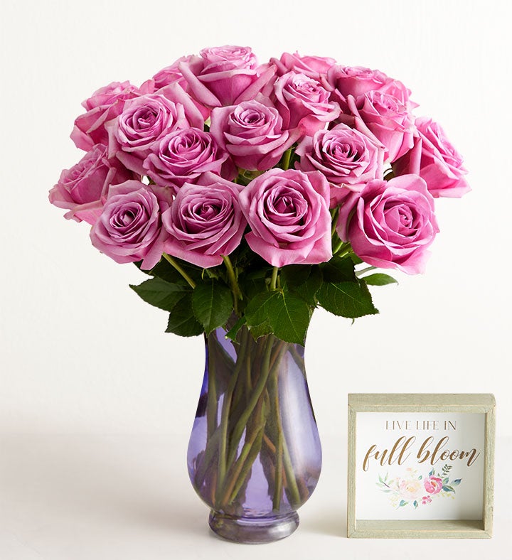 The History and Symbolism of Roses | Petal Talk