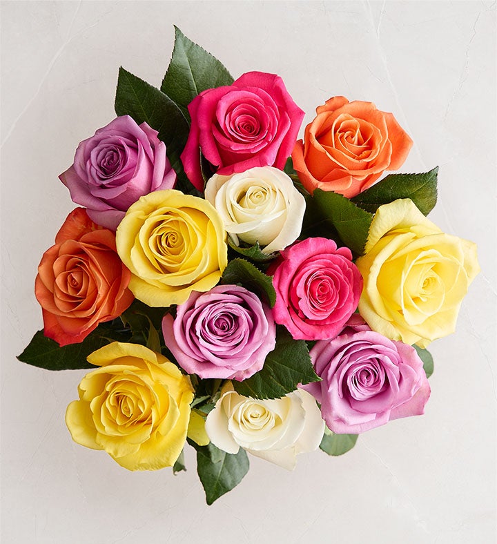 One Dozen Assorted Roses for Romance