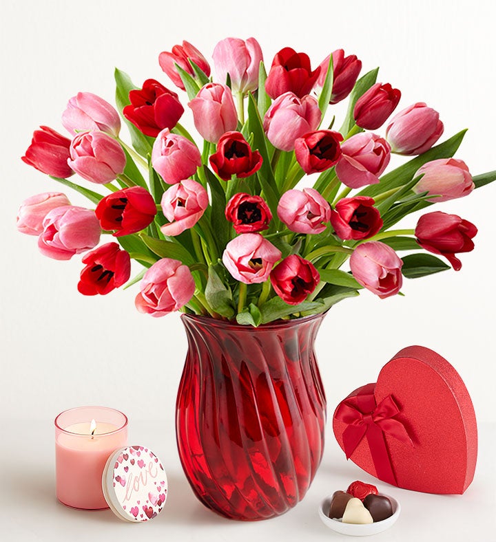 Learn All About Each Tulip Color Meaning | Petal Talk