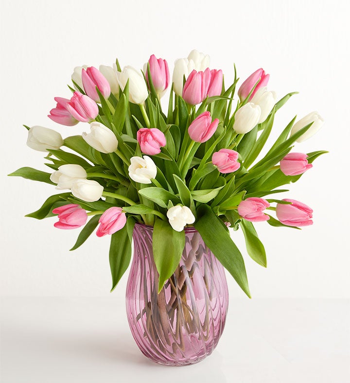 Learn All About Each Tulip Color Meaning | Petal Talk