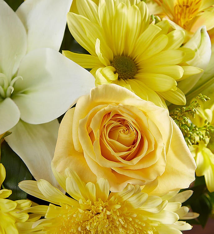Healing Tears™ Yellow & White | 1800Flowers.com - 148686