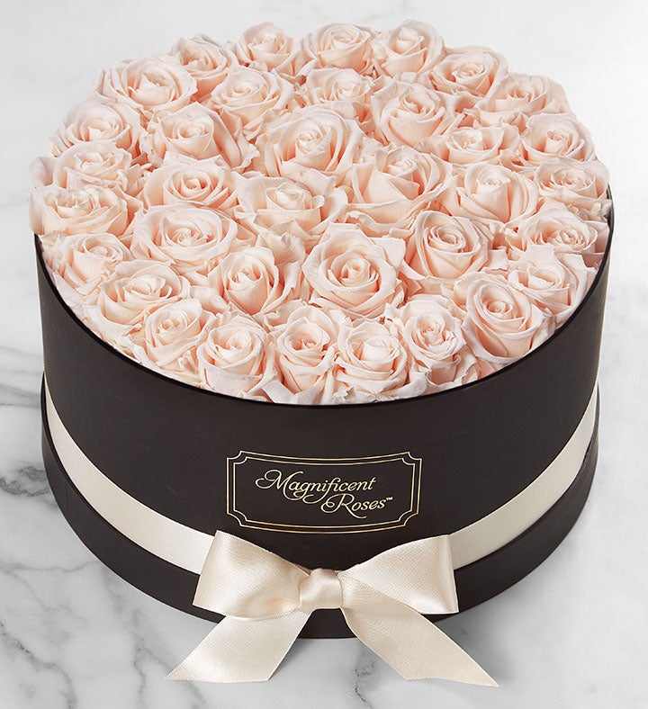Magnificent Roses Preserved Blush Roses | 1800flowers.com