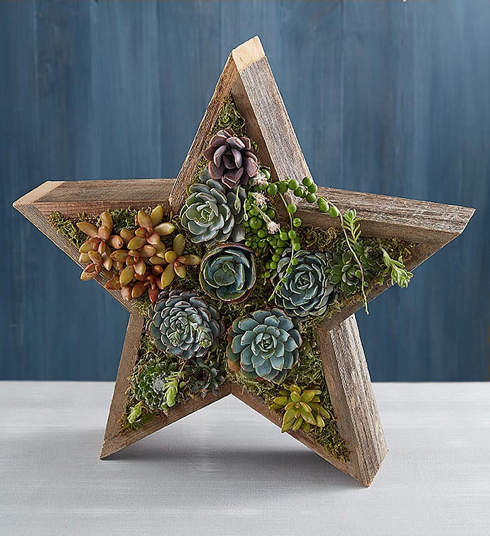 Wood Star Succulent | 1-800-Flowers.com