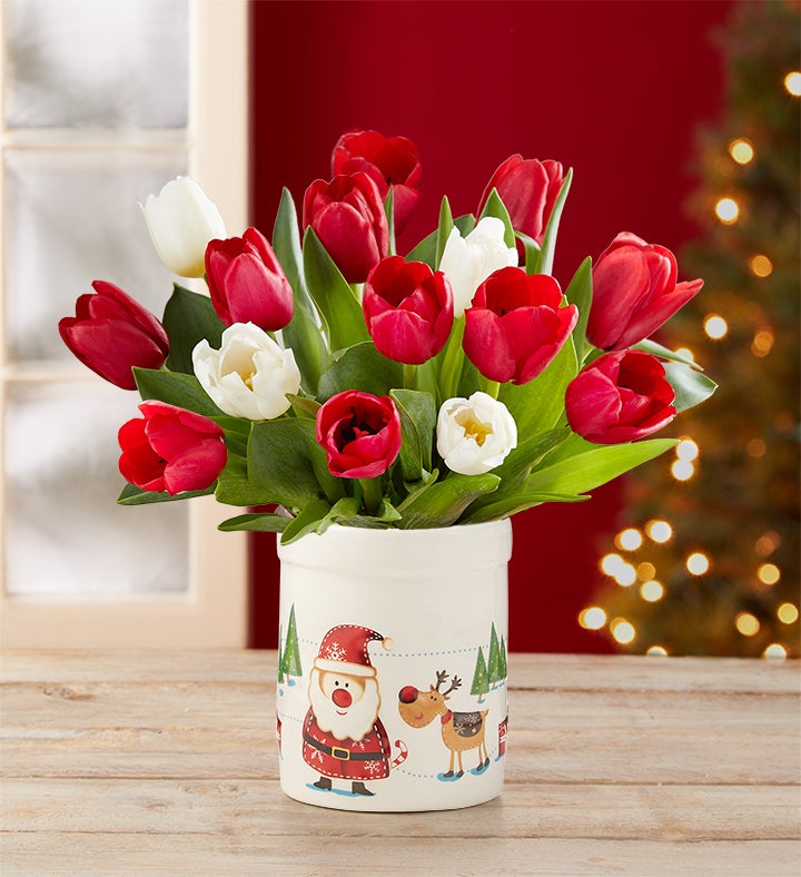 Santa’s Merry Christmas Tulips |1800flowers.com