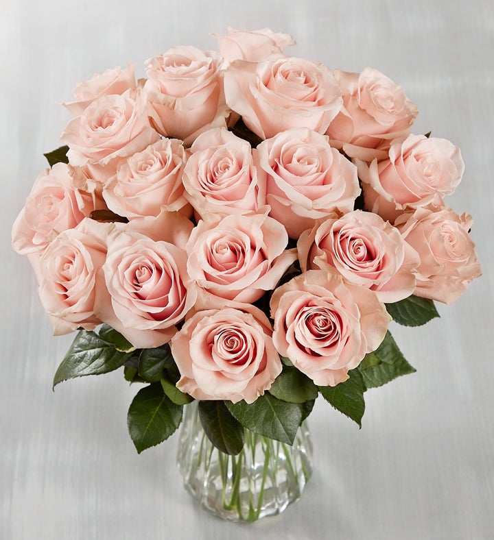 Ecuador Premiere Light Pink Roses, 18 Stems | 1800flowers.com