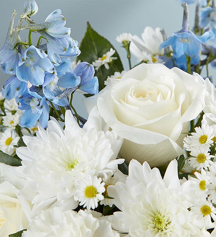 Peace and Healing™ Blue & White | 1800flowers.com