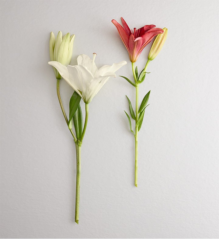 Holiday Lily Bouquet™ from 1-800-Flowers.com | SendFlowers.io