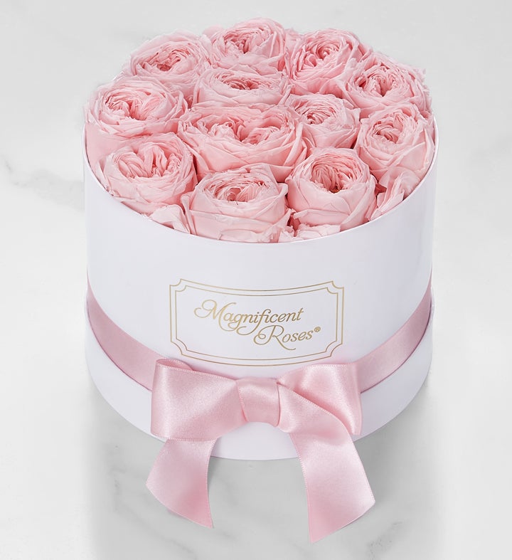 Magnificent Roses® Preserved Pink Garden Roses | 1800flowers.com