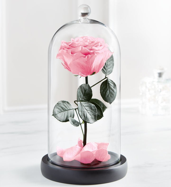 Enchanted Beauty™ by Magnificent Roses® Pink | 1800Flowers.com