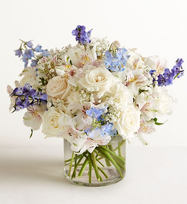 Types of July Birth Flowers | Petal Talk