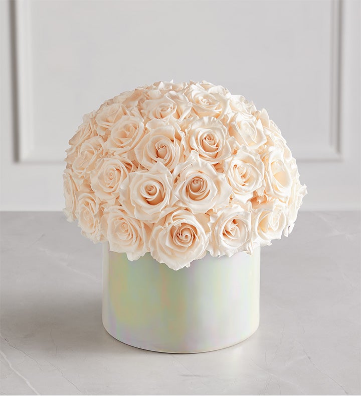 What Are Preserved Roses? | Petal Talk
