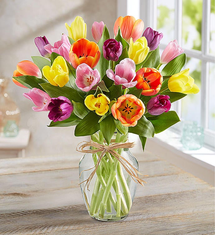 Learn All About Each Tulip Color Meaning | Petal Talk